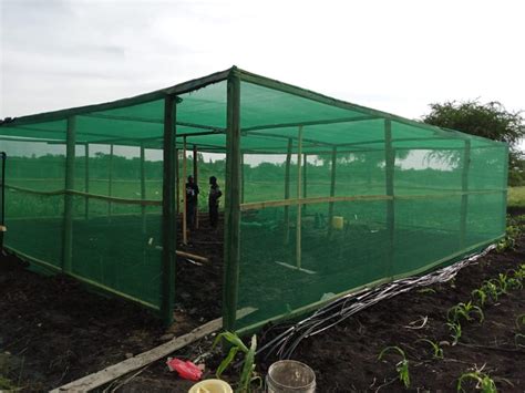 Shade Net House Farming 2025 Affordable Shade Netting