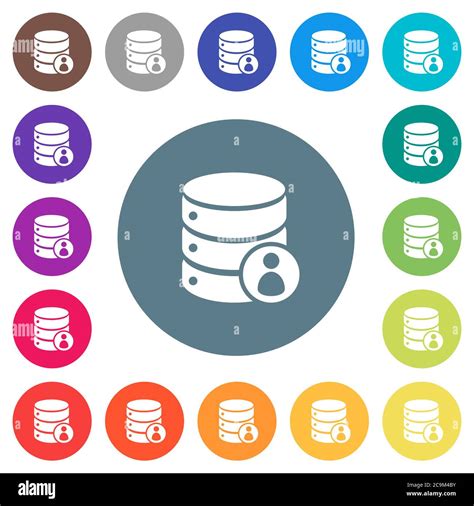 Database Privileges Flat White Icons On Round Color Backgrounds 17 Background Color Variations