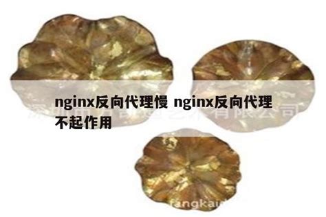 Nginx反向代理慢 Nginx反向代理不起作用 技术分享 Xp资讯网