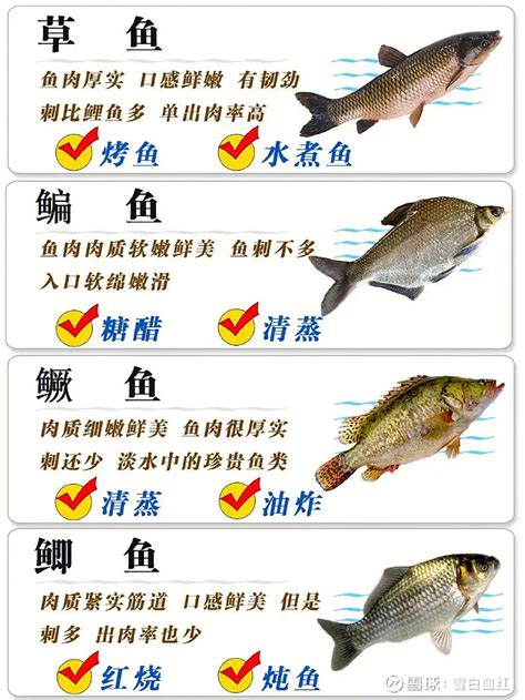 生活中常见的鱼的种类和口感区别 40种生活中常见的鱼的种类和口感区别鱼生活中常吃的海鲜类食品有海鱼和淡水鱼有的鱼的刺少有的鱼没有刺