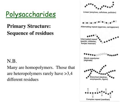 Ppt Polysaccharide Structure Powerpoint Presentation Free Download Id 198522
