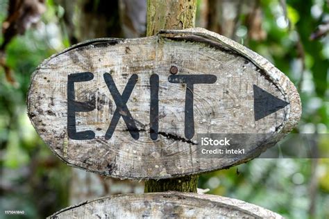 인도네시아 의 열대 발리 섬의 열대 우림 정글에서 나무 보드에 텍스트 출구 아시아 열대 지방에서 나무 표지판 비문을 종료합니다