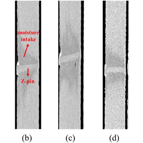 Microscopic Morphology At Different Locations Through The Second