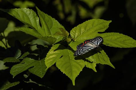 By Rikuma Id Photohito