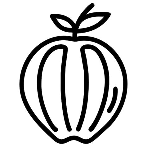 Premium Vector Fruit Icon Outline