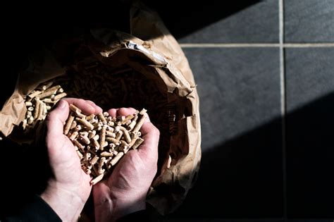 크래프트 가방 위에 전나무 알갱이를 들고 있는 남자의 손 가정 생활에 대한 스톡 사진 및 기타 이미지 가정 생활 과립 3차원 형태 Istock