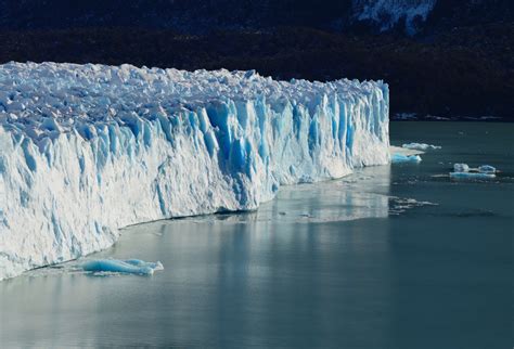 In Brief Iigcc Launches Net Zero Stewardship Toolkit Impact Investor