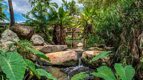 호주 브리즈번 사우스뱅크 파크 스토리브릿지 브리즈번 시청 1일 투어 최소 예약 인원 1인 프라이빗 차량 서비스 호텔 픽업