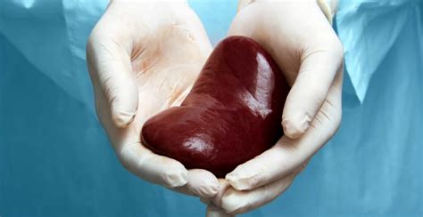 A Murit Bărbatul Cu Primul Transplant De Rinichi De Porc Modificat Genetic Din Lume