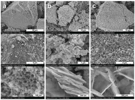Sem Micrographs Of Tio2 N A Bi2wo6 B And Bi2wo6 Tio2 N 5 100 Download Scientific