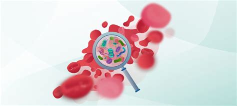 Workplace Safety Preventing Bloodborne Pathogen Exposure