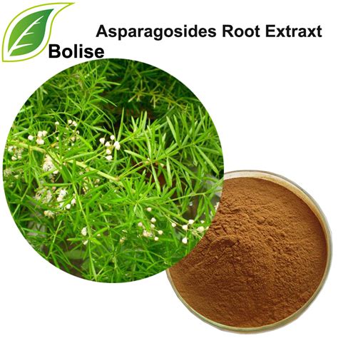 Asparagosides Root Extraxt Cochinchinese Asparagus Root Extract Suppliers Manufacturers From Bolise