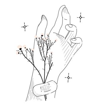 Flowers Line Art Aesthetic Decoration Line Art Flower Aesthetic
