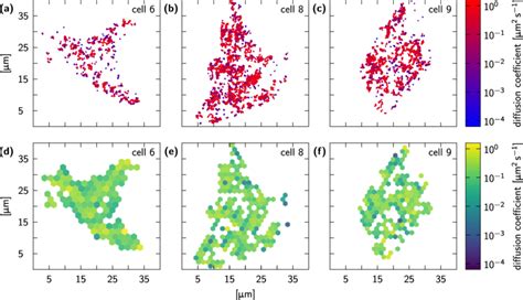 Spatial Distribution Of Fast And Slowly Diffusing Met Receptor Tyrosine