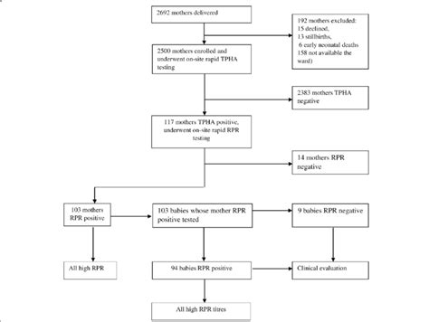 Patients Flow Chart Rpr Rapid Plasma Reagin Tpha Treponema