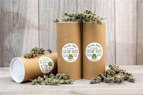 Catnip Buds Tube Meowy Janes