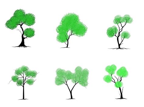 Green Branch Tree Or Naked Trees Silhouettes Set Hand Drawn Isolated Illustrations 18976742