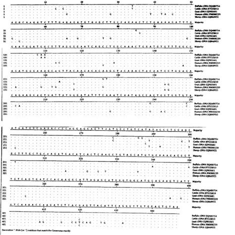 Lysozyme Amino Acid Sequence Alignment Between Different Ruminants And