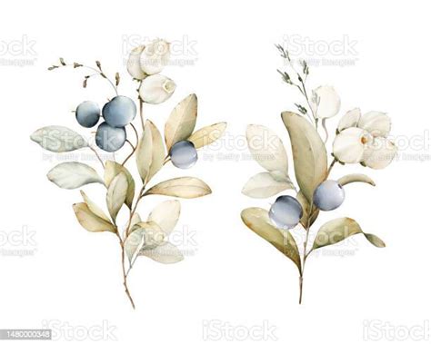 수채화 그림의 집합입니다 블루 베리와 가지 화환 청첩장 엽서 인사말을 위해 흰색 배경에 격리 꽃 식물에 대한 스톡 벡터 아트 및 기타 이미지 Istock