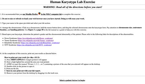 Solved Human Karyotype Lab Exercise Warning Read All Of The