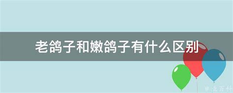 老鸽子和嫩鸽子有什么区别 业百科