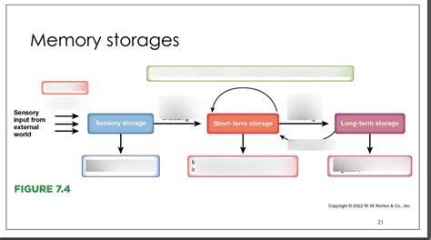 Psych Diagram Diagram Quizlet Psych Diagram Diagram Quizlet