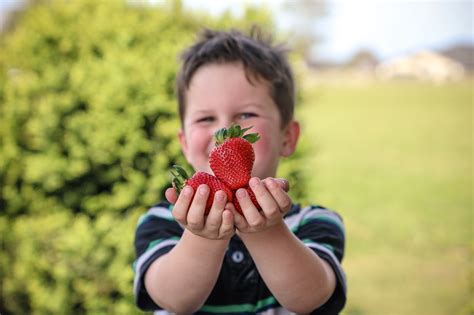 Kiwi Valley Farm Park Hello Again Farm Lovers ~ 💕 Just A Reminder
