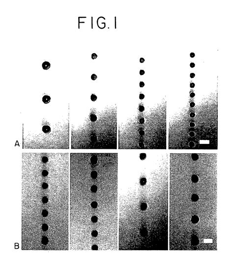 Microparticles Eureka Patsnap