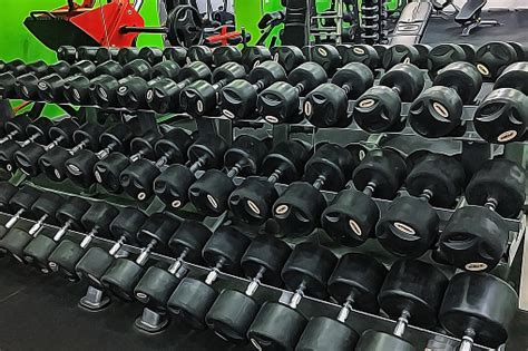 체육관 또는 피트니스 홀 내부 장비 기계 바벨 막대 디스크 무게 아령 스포츠 보디 빌딩 라이프 스타일 및 사람들 개념 일러스트 0명에 대한 스톡 사진 및 기타 이미지