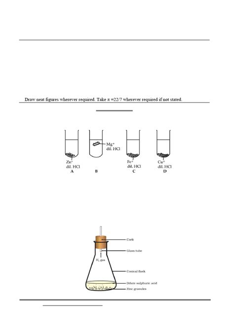 Class 10 Science Sample Paper 2025 Pdf Sex Rainbow