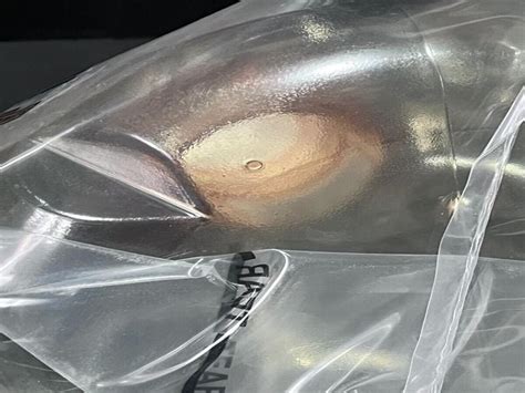 Corning 2l Erlenmeyer Flask With Vent Cap Baffled Polycarbonate — Life Sciences Trading