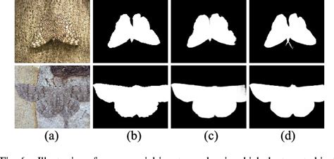 Figure 1 From Finding Camouflaged Objects Along The Camouflage