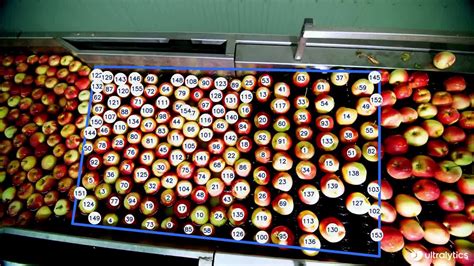 Muhammad Rizwan Munawar On Linkedin Track Objects Only In Zones Using Ultralytics Trackzone 🔥🔥🔥