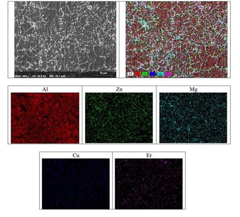 Electron Probe Microanalysis Of The Alznmgcu Alloy With 1 Er And Download Scientific Diagram