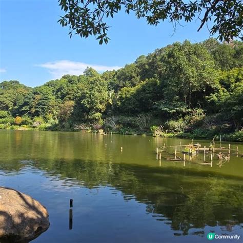 深圳仙湖植物園 U Lifestyle 香港優惠及生活資訊平台