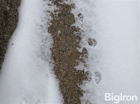 Concrete Inline Feed Bunks Bigiron Auctions