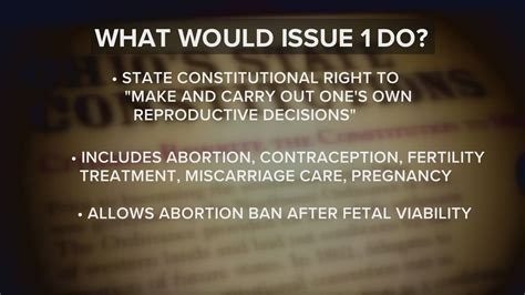 What Does Ohio Issue 1 Mean In The November General Election Heres