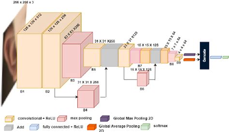 Figure 1 From Deep Ear Biometrics For Gender Classification Semantic Scholar