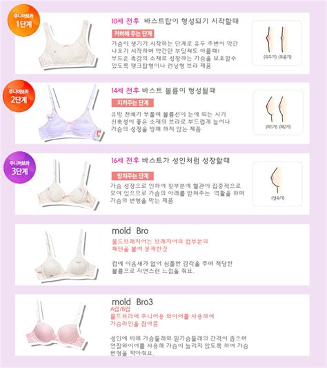 초등학생전문사이트