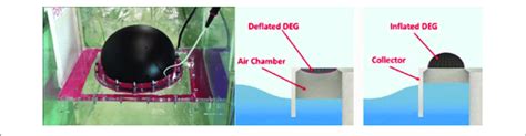 Poly Owc Small Scale Device Left And Schematic Representation Of