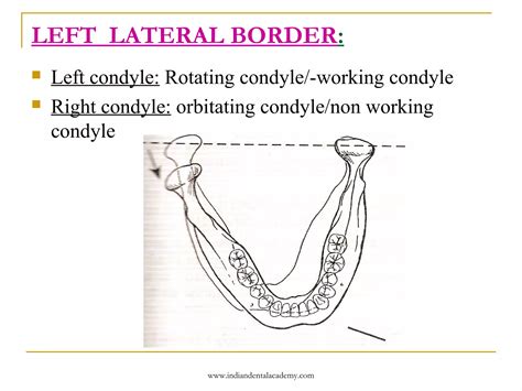 Mandibular Movements Cosmetic Dentistry Courses Ppt