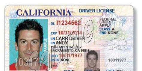 Getting A Drivers Permit In California Fasrei
