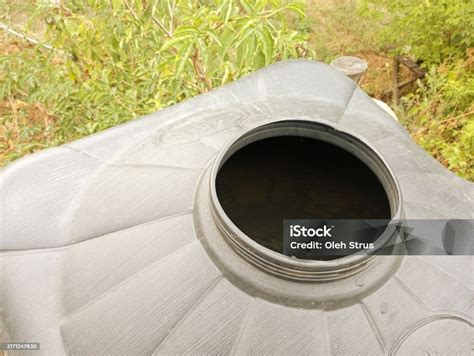 푸른 잔디 배경에 여름 샤워를 위한 큰 플라스틱 검은 물 용기의 목 물을 담는 정연한 까만 콘테이너 0명에 대한 스톡 사진 및 기타 이미지 Istock