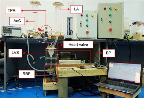 Configuration Of Mock Circulatory Loop Consisted Of Arterial Compliance Download Scientific