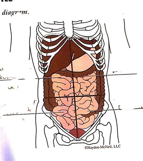 Lab Exercise 2 Objective 5 Diagram 1 Diagram Quizlet