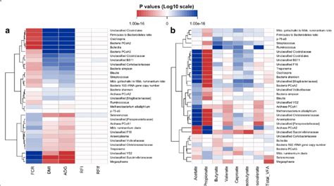 Correlation Patterns Showing That Heritable Rumen Microbial Features H Download Scientific