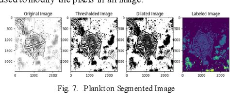 Figure 1 From Machine Learning For Plankton Species Identification And Classification A New Era