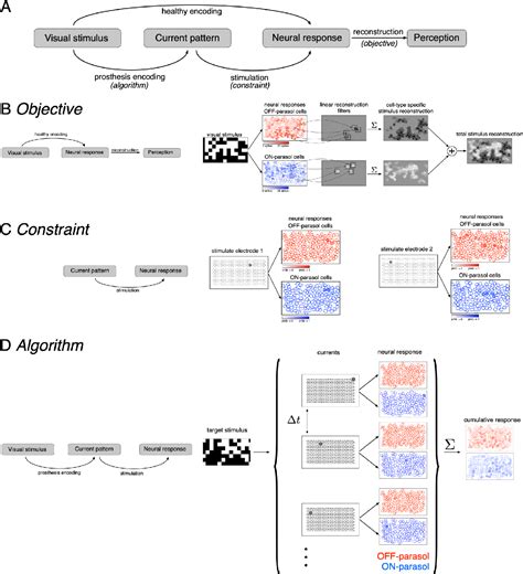 Figure 1 From Precise Control Of Neural Activity Using Temporally
