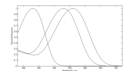 the relative spectral response functions for the reference human