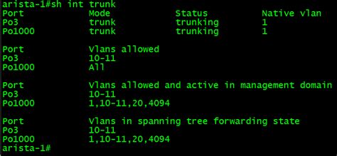 Arista Mlag Configuration And Cisco Vpc Comparison